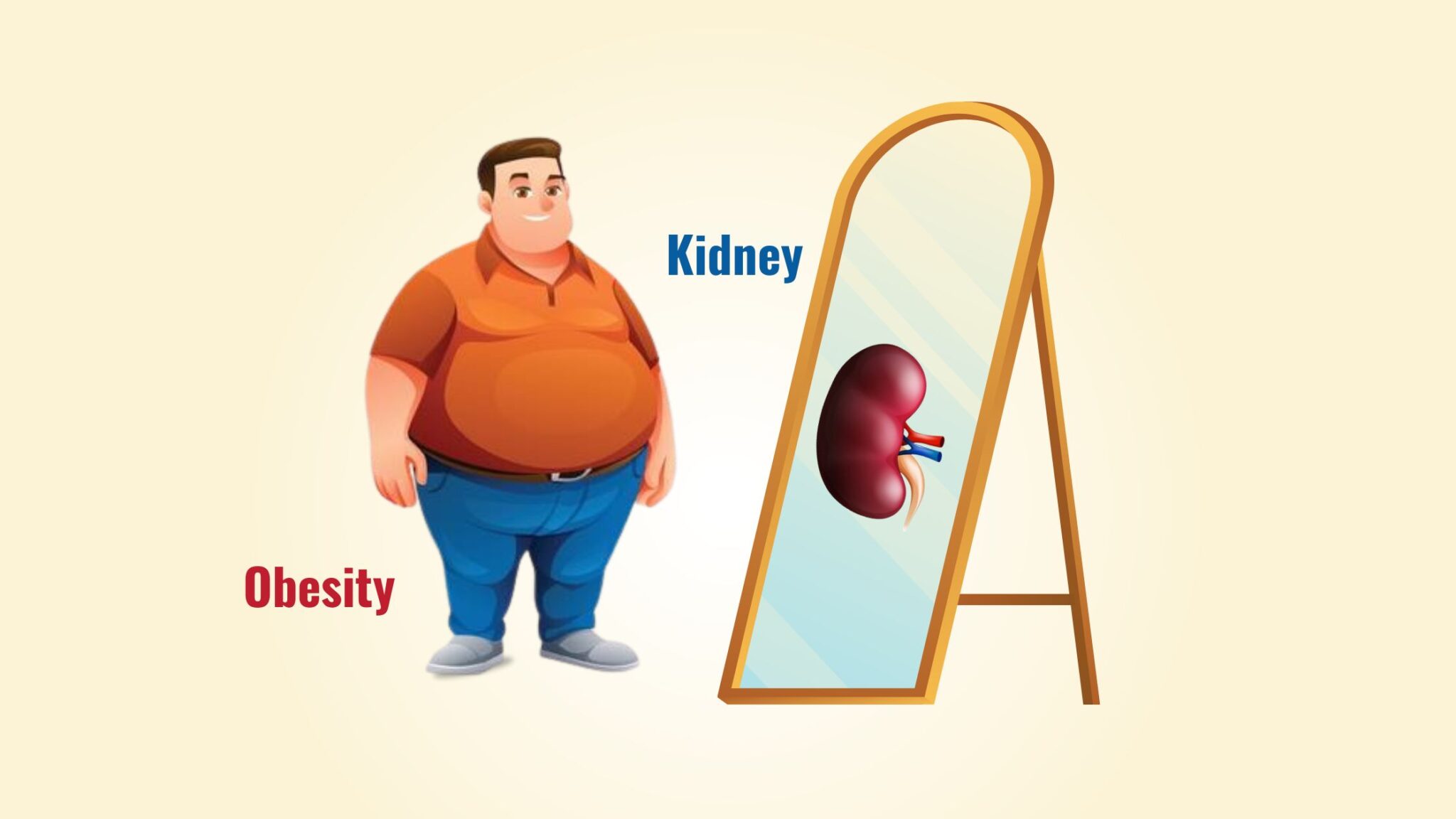 The Impact of Obesity on Kidney Disease: A Deep Dive into the Link